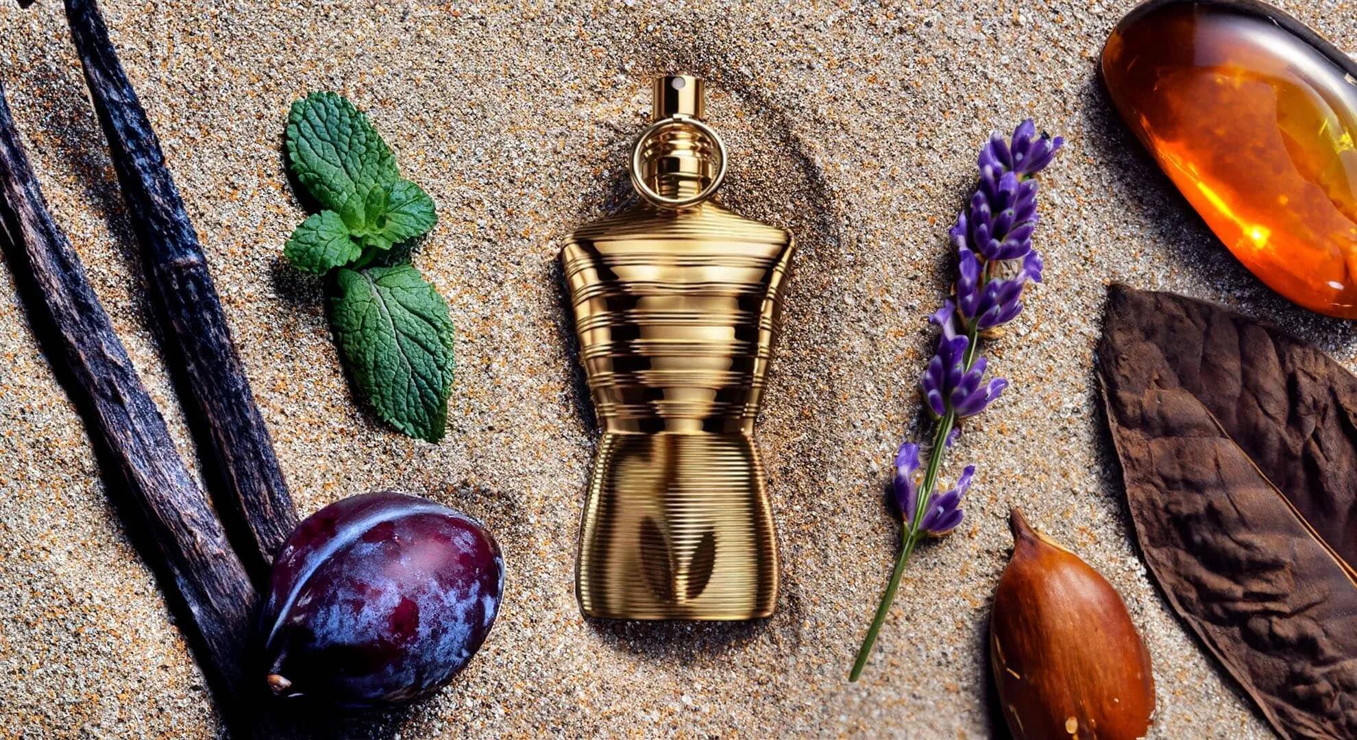 Home | PERFUME HUB